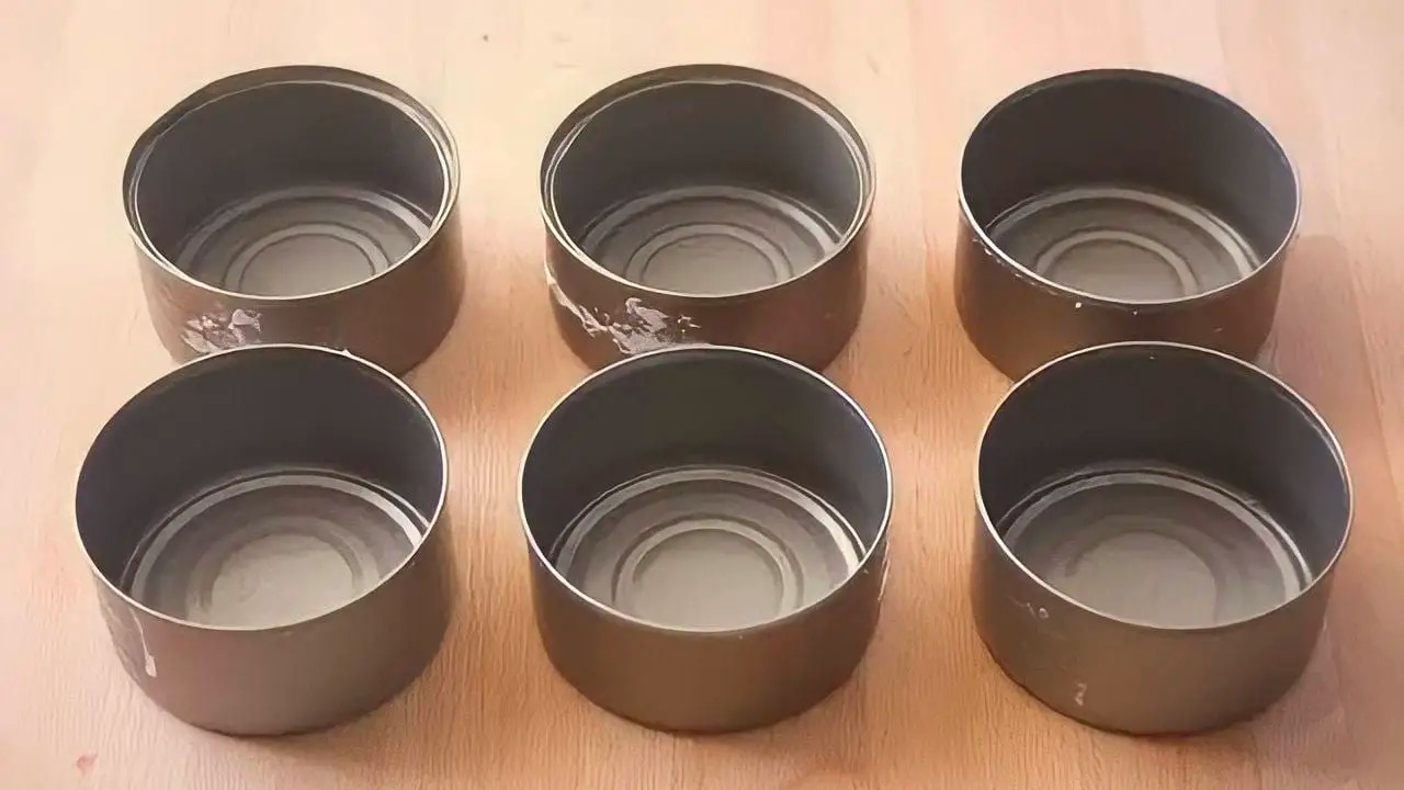 No tires las latas de atún, en casa valen oro: cómo reutilizarlas ...