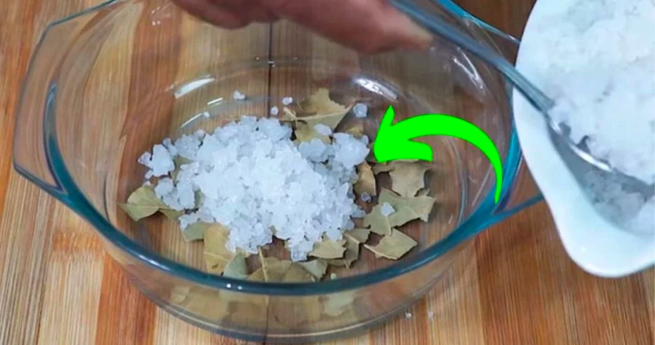 La sal y el laurel valen oro en casa: sus múltiples usos ocultos | Todo ...