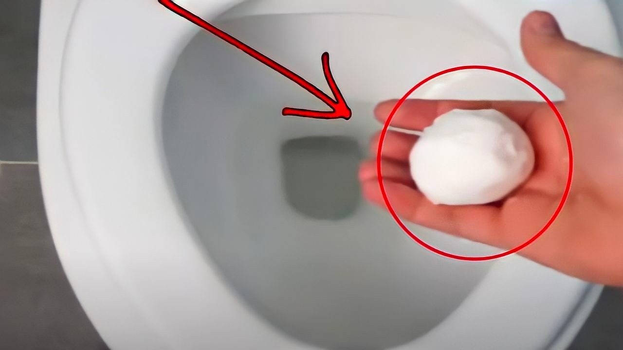 Tírelo por el inodoro, desaparecerá el olor y eliminará las manchas ...